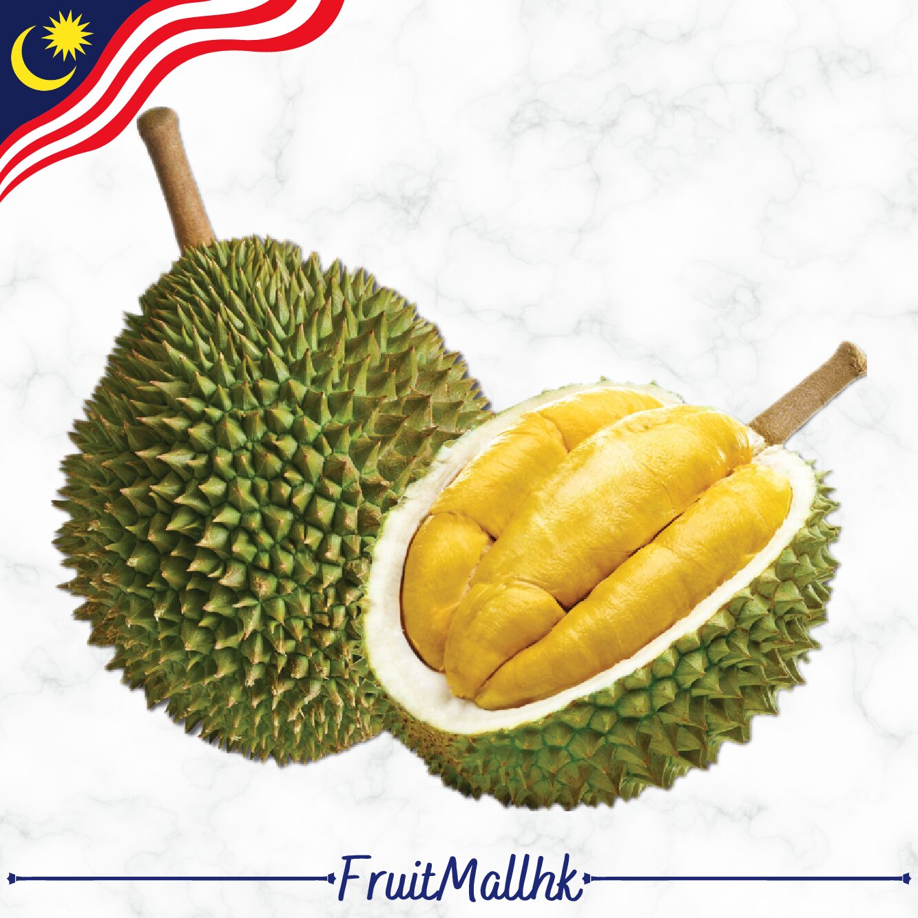 《超人氣》馬來西亞 D197 貓山王榴槤 – FruitMallhk